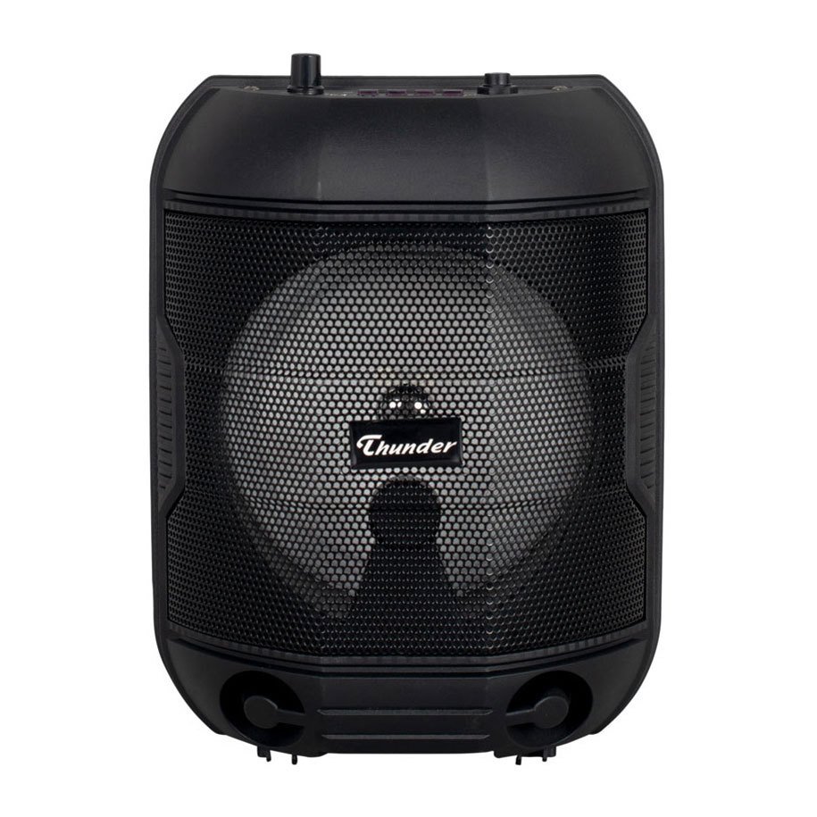 Аудио система THUNDER THS-B601Аудио система THUNDER THS-B601 ...