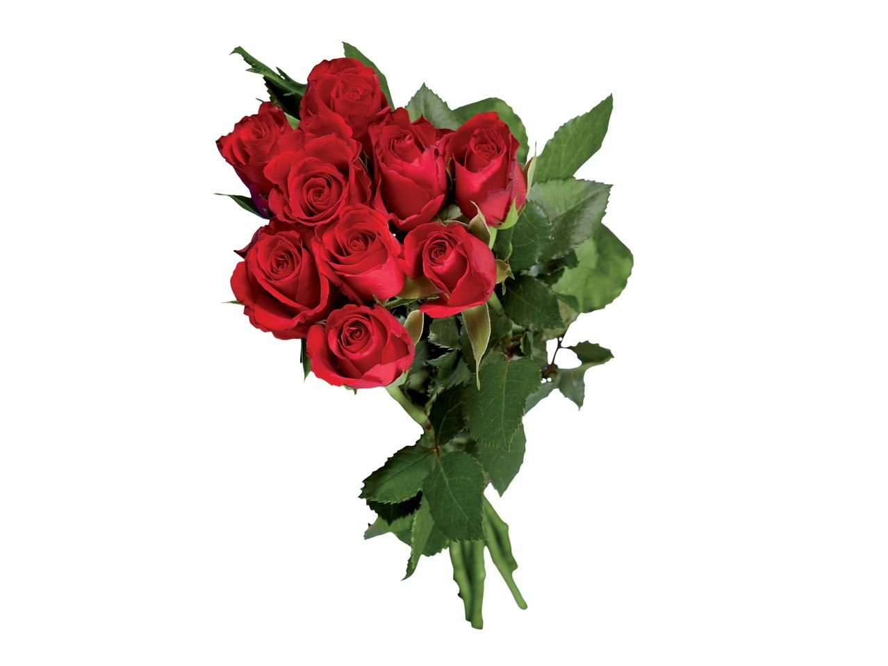 Рози | Лидл | Oferta.bg