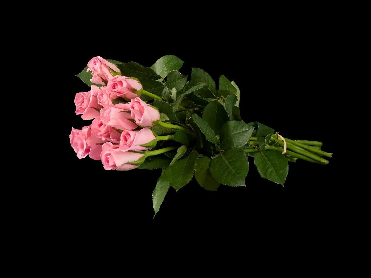 Рози „Ексклузив“ | Лидл | Oferta.bg